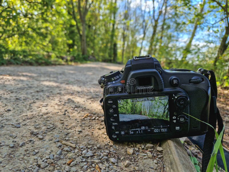 Camera on a Footpath in a Park, St Chad Nature Reserve, England, April ...