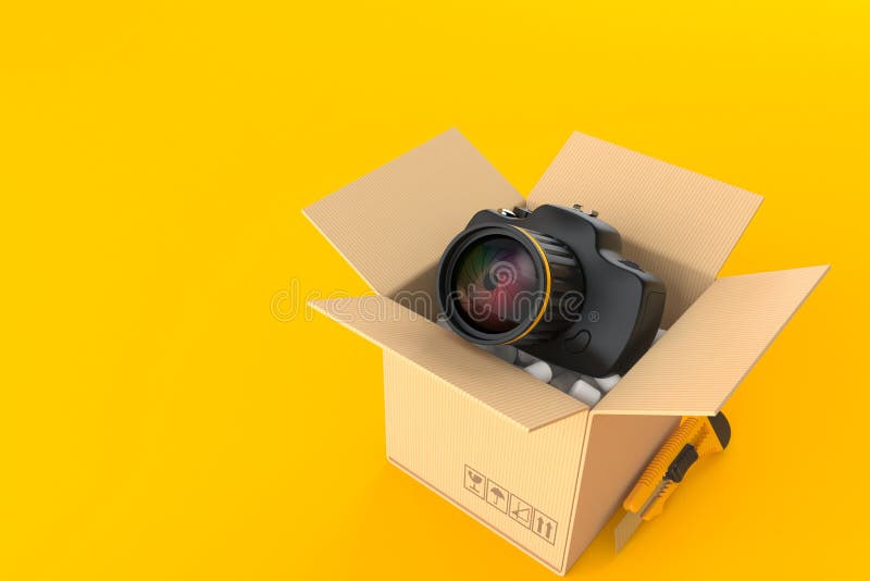 Camera Inside Cardboard Box Stock Illustration - Illustration of camera ...