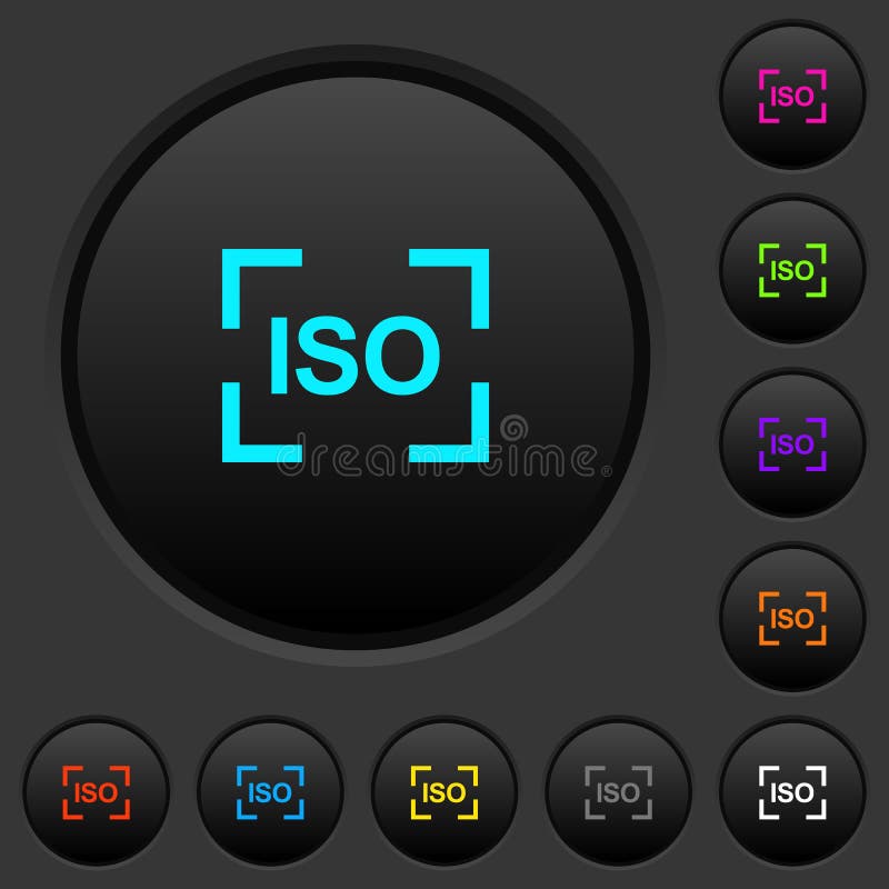 Camera Iso Speed Setting Flat Icons with Outlines Stock Vector ...