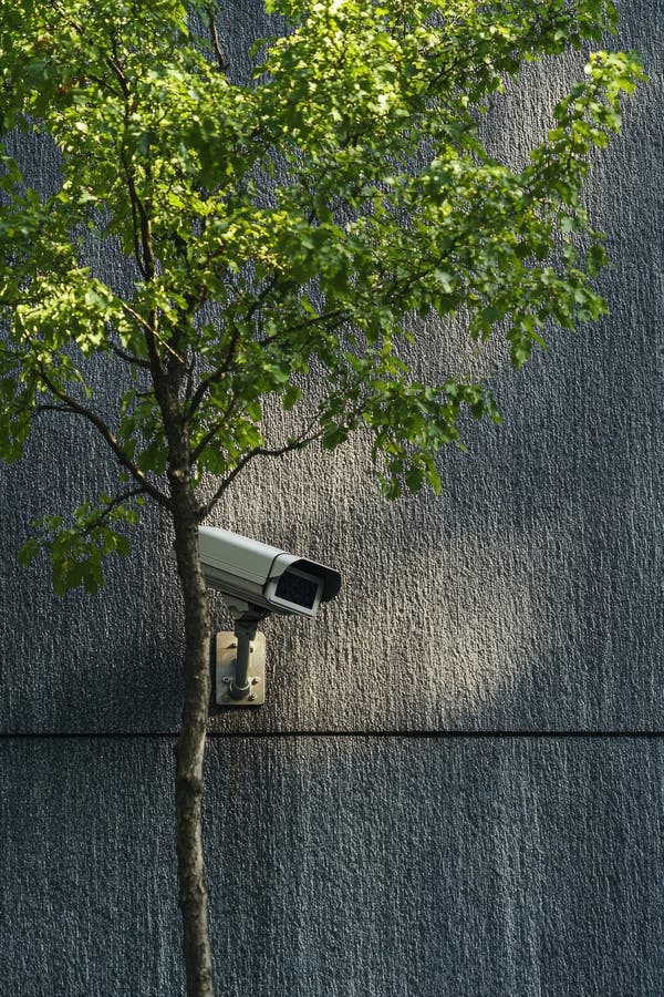 A Camera Mounted To the Side of a Building, Next To a Tree Stock Photo ...