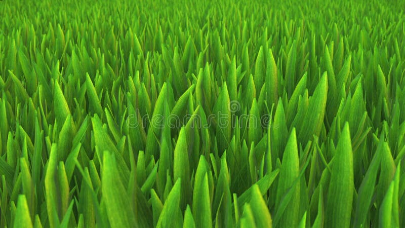 Camera Moving on a 3d Grass Field Looping Stock Video - Video of cereal ...