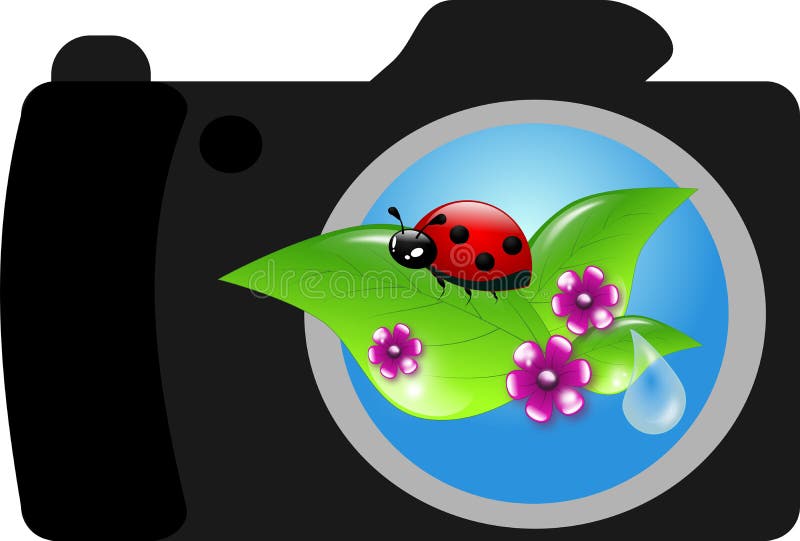 Ladybug Camera Flat Design Stock Illustrations – 29 Ladybug Camera Flat ...