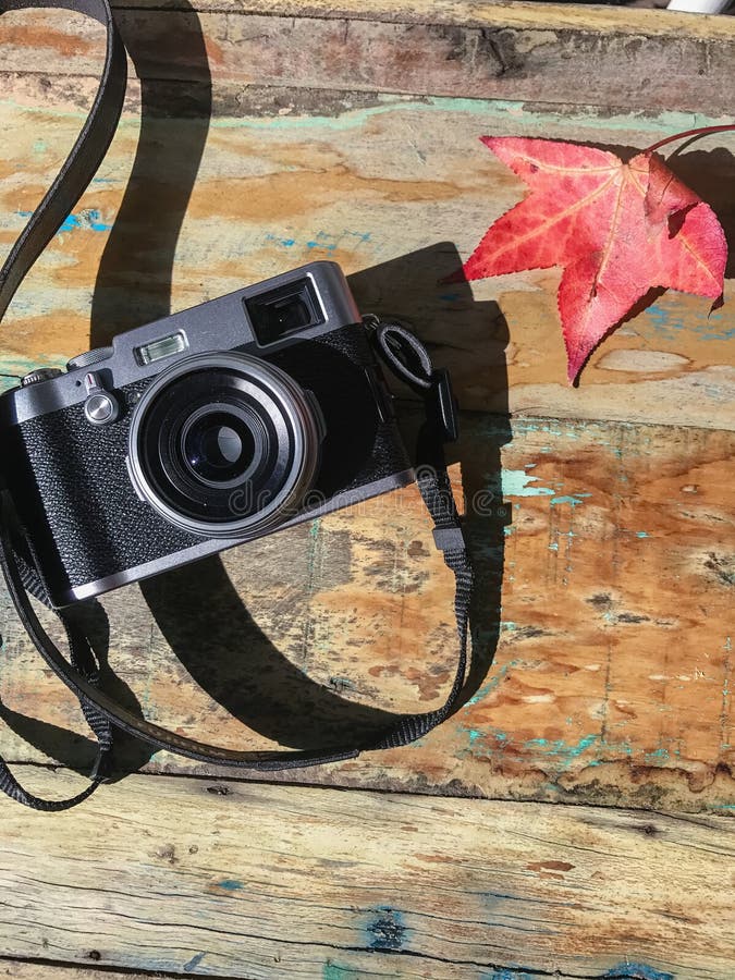 Camera and red autumn leaf stock image. Image of flat - 140331425