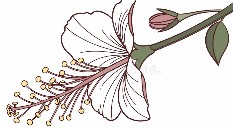 Camera and Star Graphic, Photography and Art, Retro Style, Creative ...