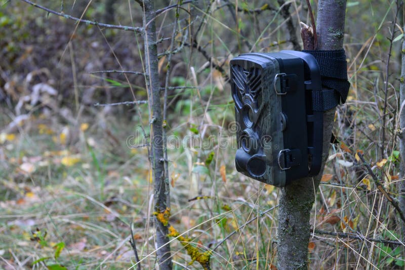 Camera Trap Close Up Wild Infrared Motion Sensor Tree Stock Photos ...