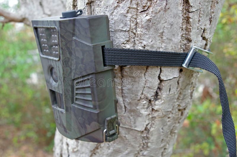 Camera Trap or Trail Camera Stock Photo - Image of camouflage ...