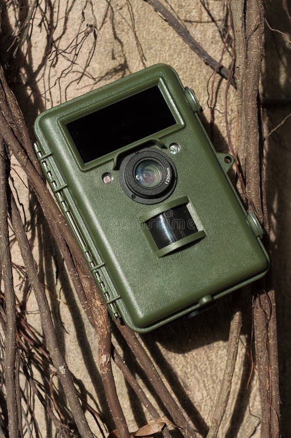 Camera trap stock image. Image of area, ecology, detector - 138171681