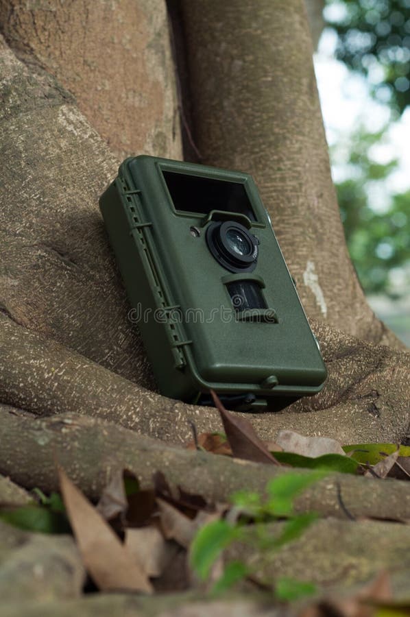 Camera trap stock photo. Image of object, animal, lens - 138171636