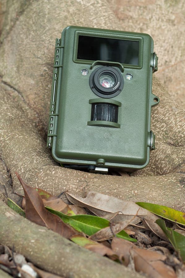 Camera trap stock photo. Image of life, secret, camera - 138171630