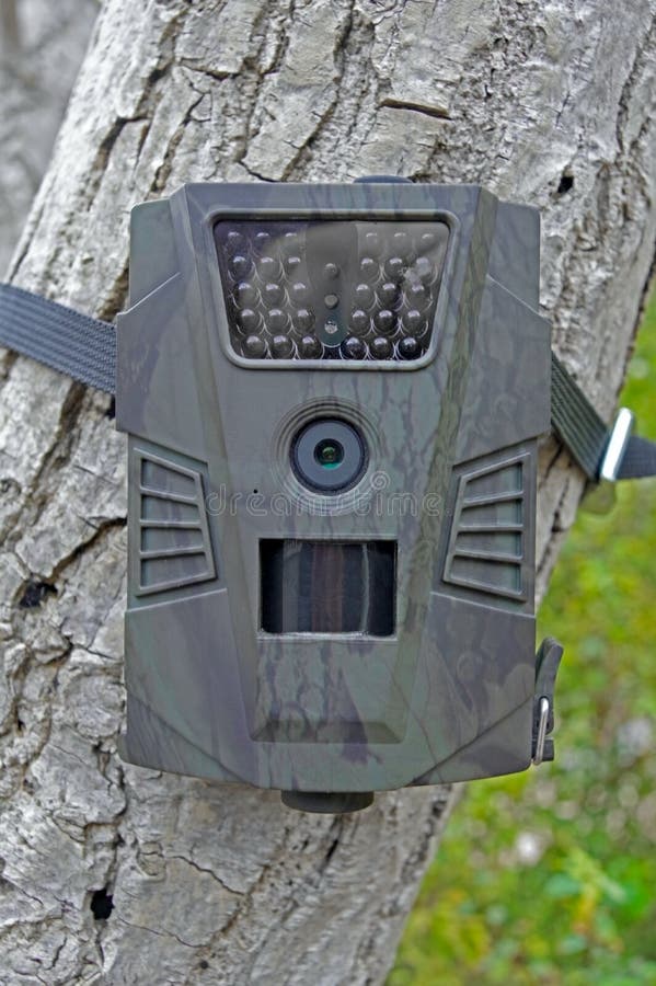 Camera Trap or Trail Camera Stock Photo - Image of system, animal ...