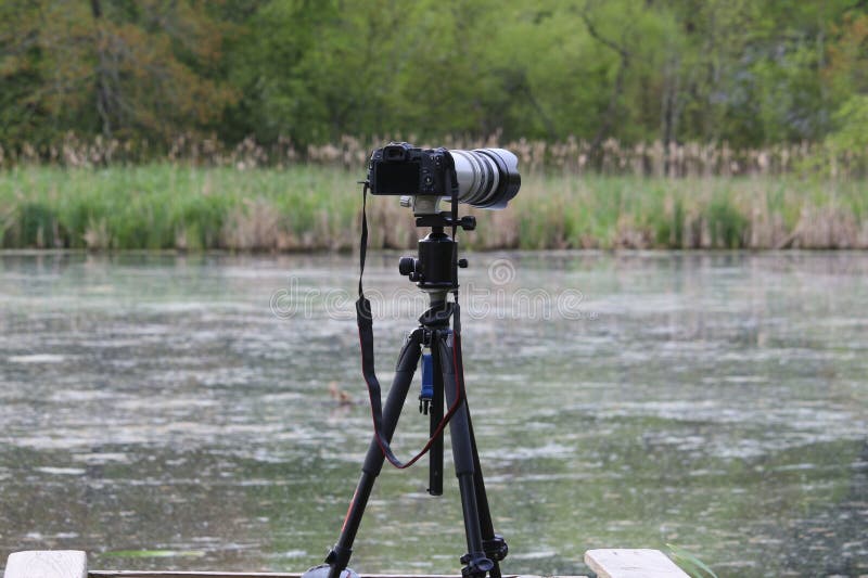 Camera on Tripod Shooting with Point of the Focus on Rear of the Camera ...