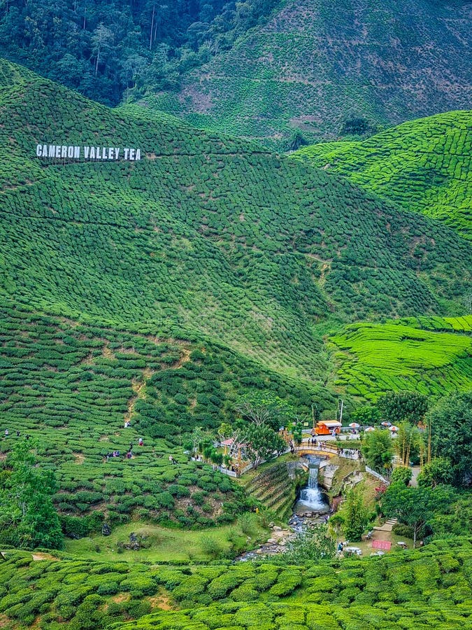 Cameron Highlands Malaysia stock image. Image of mountain - 241228751