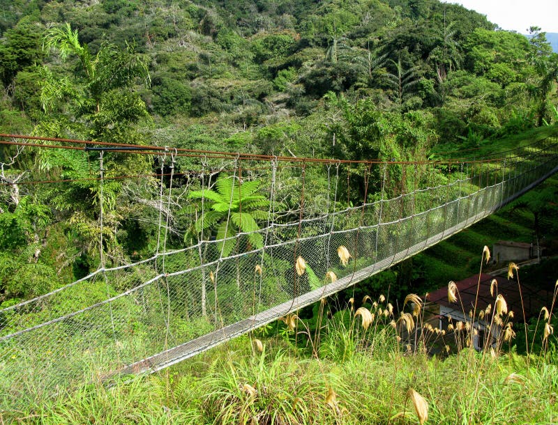 Cameron Highlands 013 stock photo. Image of hilly, view - 78860566