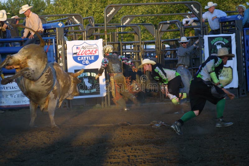 Cameron Missouri Bull Mania 2018 Imagen editorial - Imagen de abierto ...