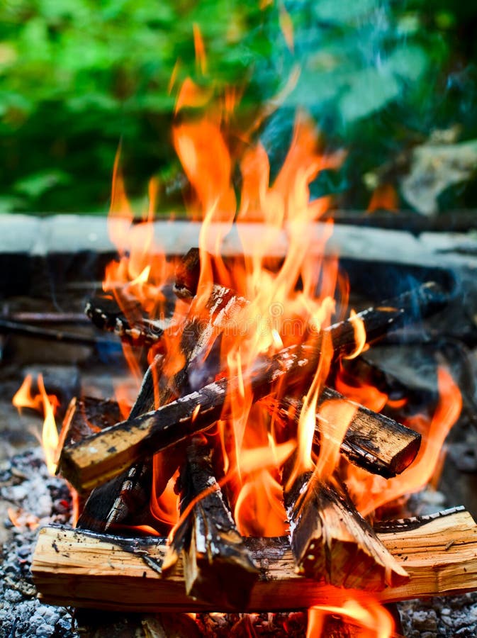 Campfire stock image. Image of ignite, campfire, firewood - 31513951