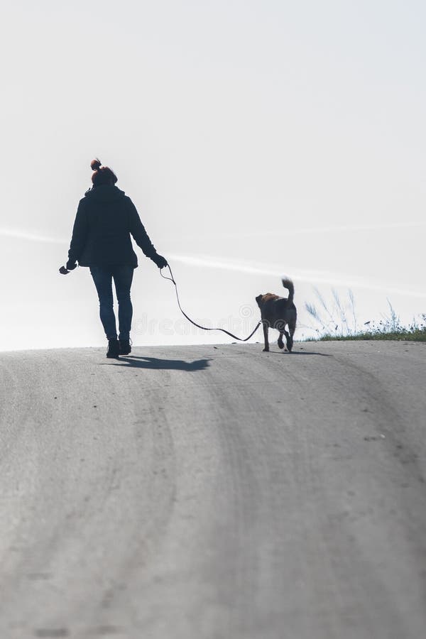 Caminar Con Perro Silueta Mujeres Caminar Con Perro Imagen de archivo ...