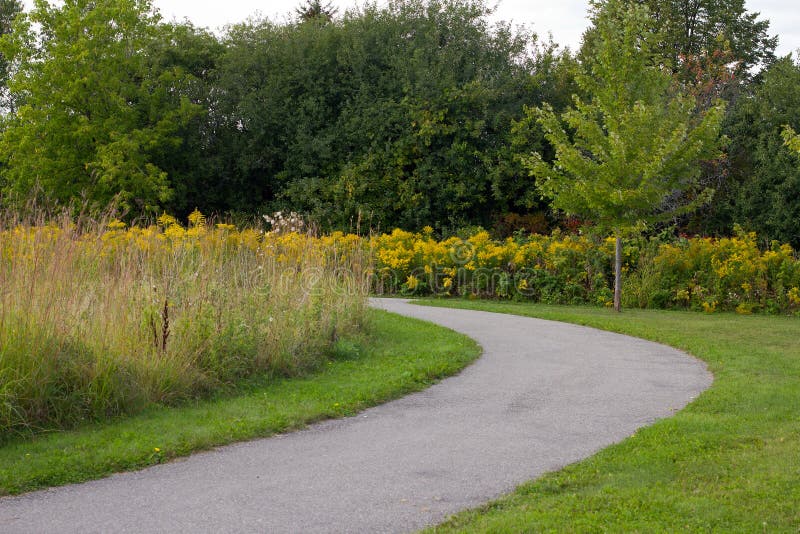 Camino Curvado En Un Parque Imagen de archivo - Imagen de flor, camino ...