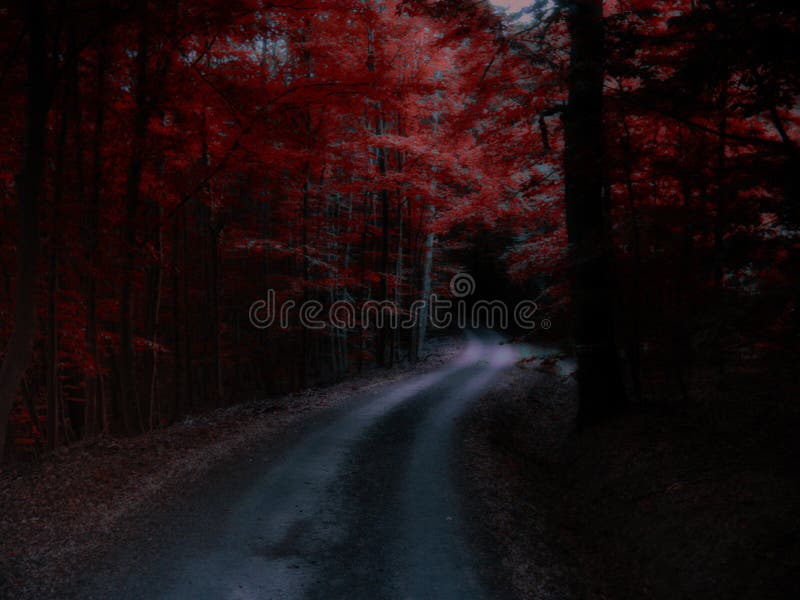 Camino Curvado S En Bosque Rojo Oscuro Foto de archivo - Imagen de ...