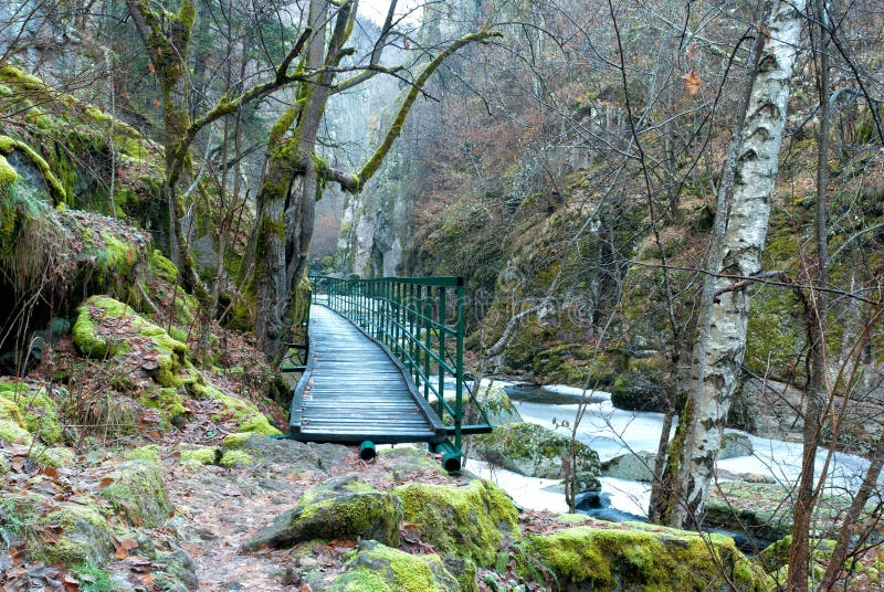 Camino De Madera Sobre El Río Imagen de archivo - Imagen de secuencia ...