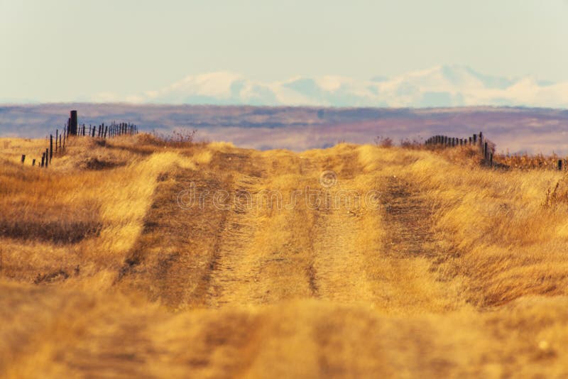 Camino Del Campo De Colorado Foto de archivo - Imagen de lugar, estados ...