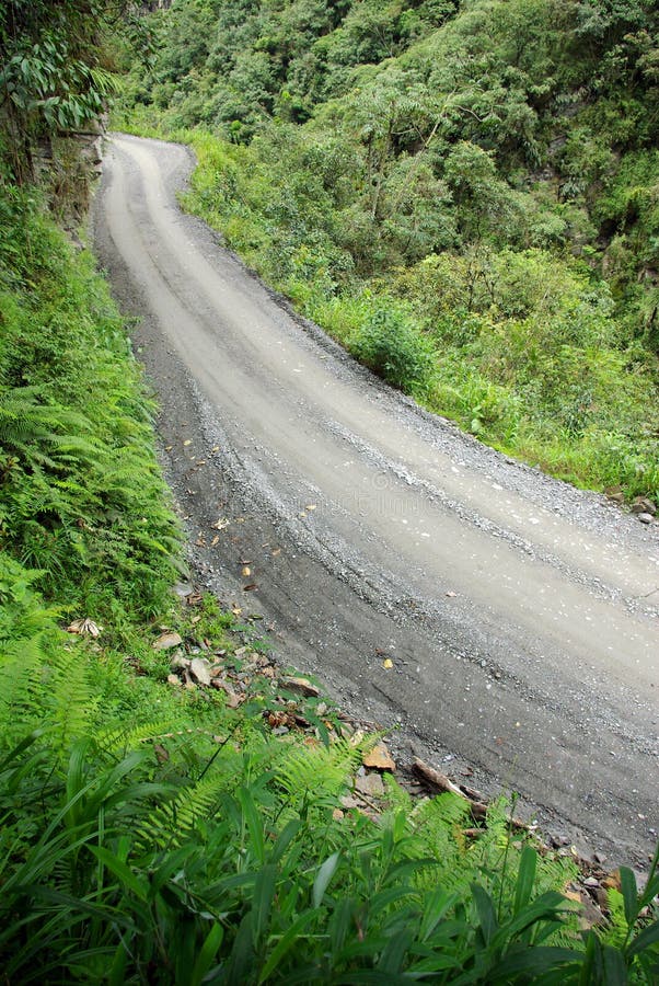 Vista De Yungas - Chulumani, Bolivia Imagen de archivo - Imagen de ...