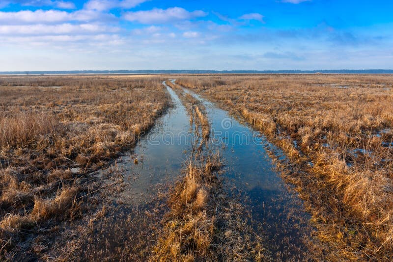 Camino Inundado De La Rodera Imagen de archivo - Imagen de resorte ...