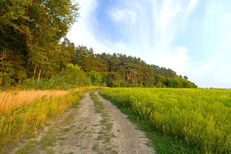 Camino rural imagen de archivo. Imagen de bosque, escena - 11065227