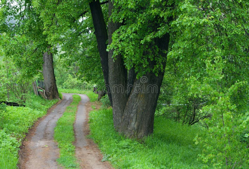 Camino rural imagen de archivo. Imagen de vitalidad, ambiente - 14938837