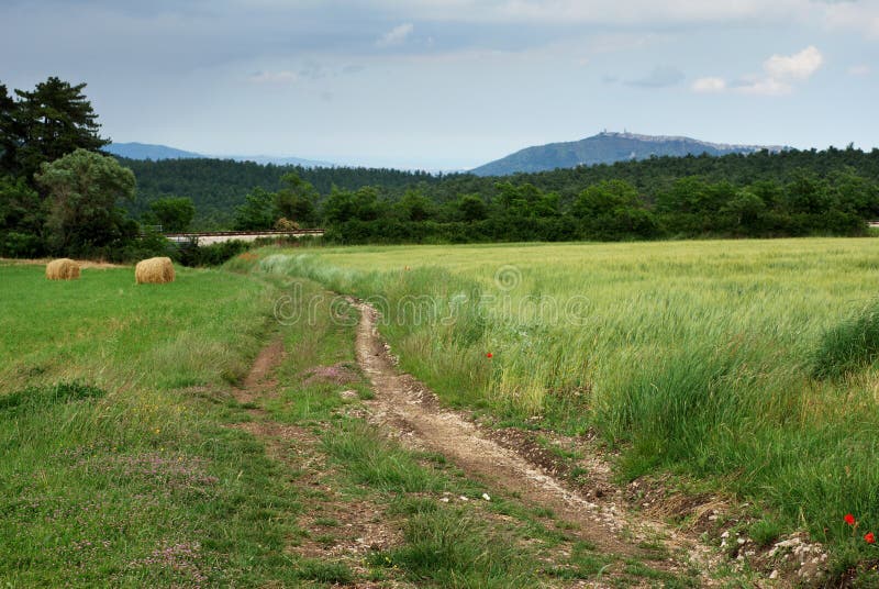 Camino rural imagen de archivo. Imagen de espacio, hierba - 9406949