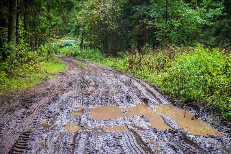 Bosque Y Camino Sucio En Gramado Imagen de archivo - Imagen de brasil ...