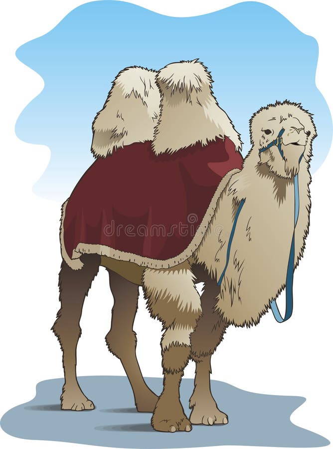 Cammello illustrazione vettoriale. Illustrazione di umore - 5812399