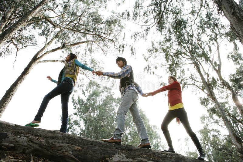 Camminare insieme fotografia stock. Immagine di felice - 10505592