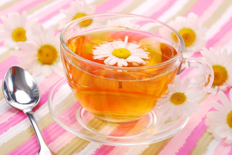 Camomile tea stock photo. Image of chamomile, camomile - 12180730
