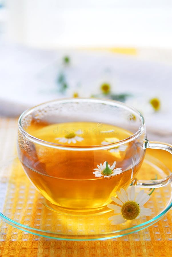 Camomile tea stock photo. Image of fresh, daisies, daisy - 3612072