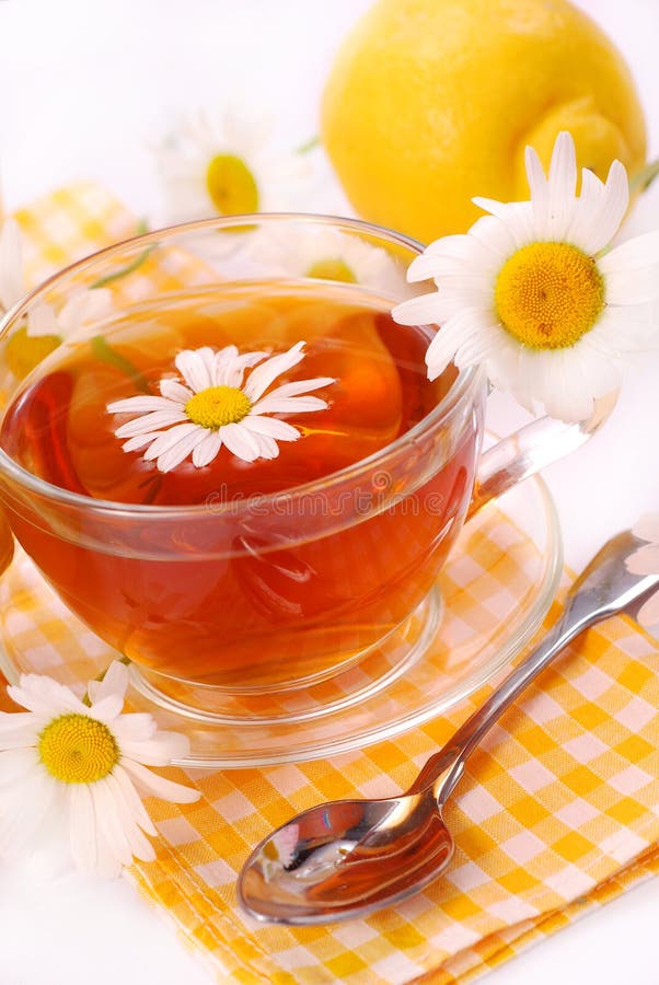 Camomile tea in glass stock photo. Image of glass, herbal - 9955754