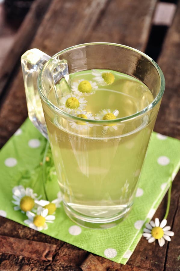 Camomille tea stock photo. Image of flower, flavoured - 31054346
