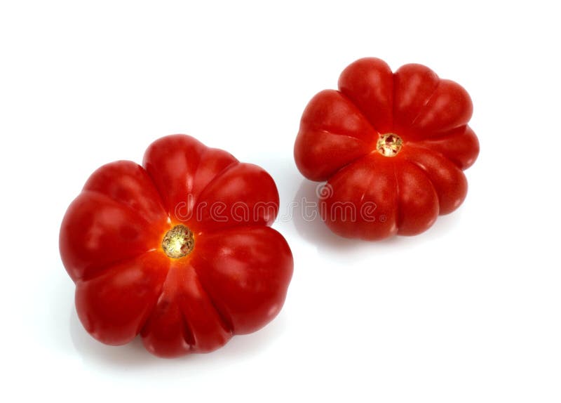 Camone Tomatoes, Solanum Lycopersicum, Vegetable Against White ...