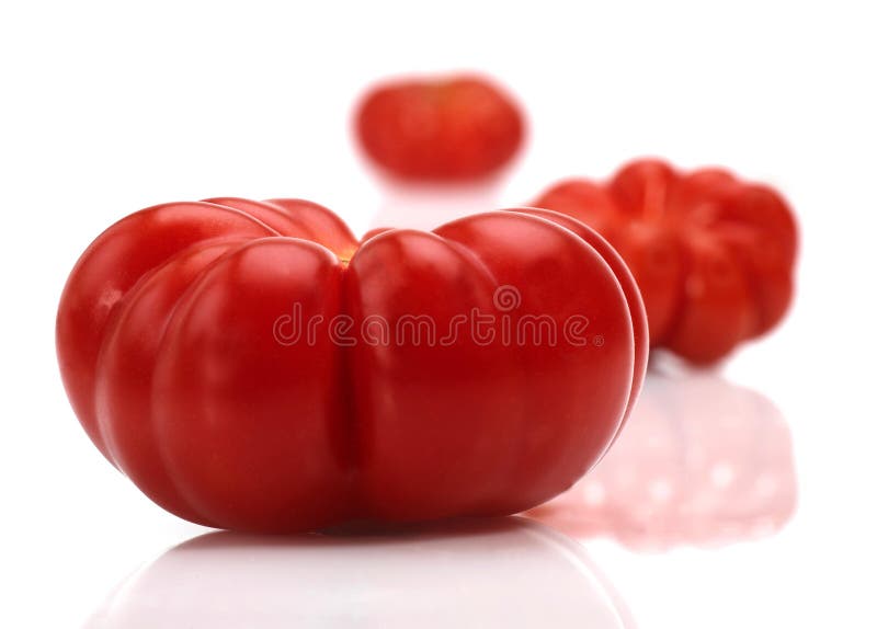 Camone Tomatoes, Solanum Lycopersicum, Vegetable Against White ...