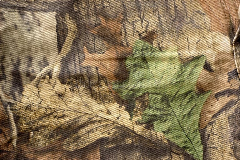 258,162 Camouflage Compitition Stock Photos - Free & Royalty-Free Stock ...