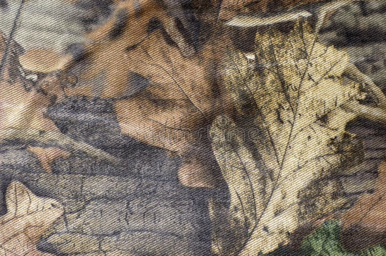 258,162 Camouflage Compitition Stock Photos - Free & Royalty-Free Stock ...