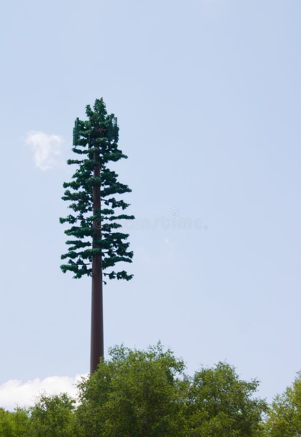 Camouflaged Cell Phone Tower Stock Image - Image of technology ...