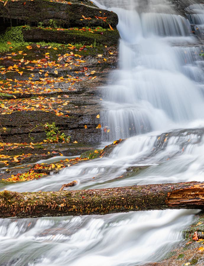 Camp Creek Waterfall with Fallen Tree Trunk and Orange Leaves Stock ...