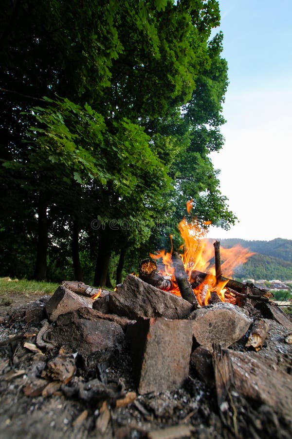 Camp fire stock photo. Image of black, bonfire, flame - 29202314