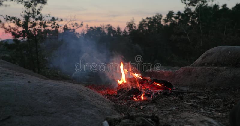Camp Fire Flames, Twilight Sky Stock Video - Video of forest, flame ...