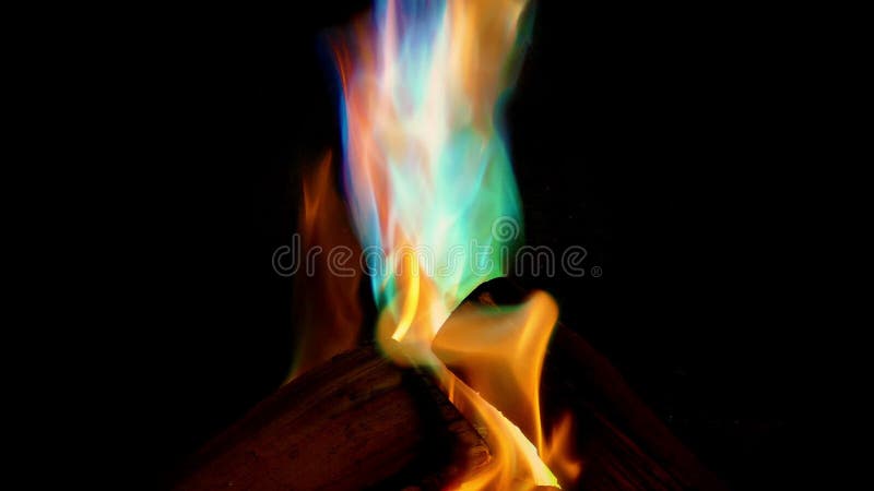 A Fire Burns Wood in the Garden Stock Video - Video of burning, bonfire ...