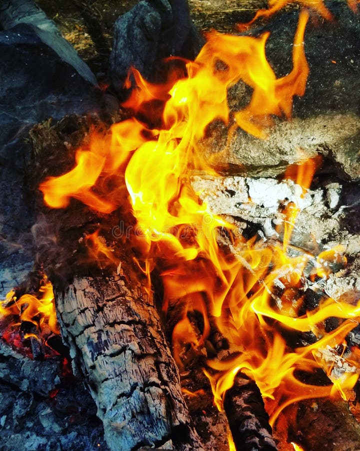 Camp fire stock image. Image of camping, woods, happy - 132794443