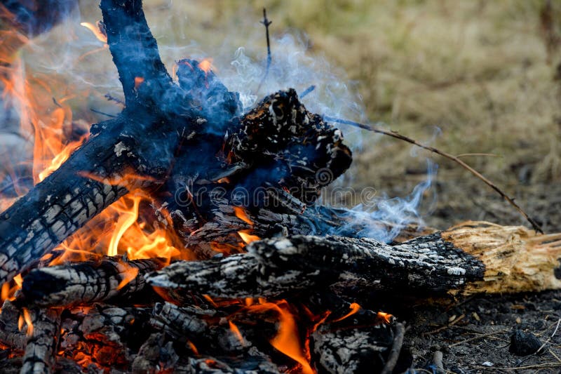 Camp fire in a daytime stock photo. Image of fireplace - 169677832