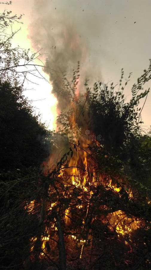 Camp fire in dusk stock image. Image of danger, camp - 98677451