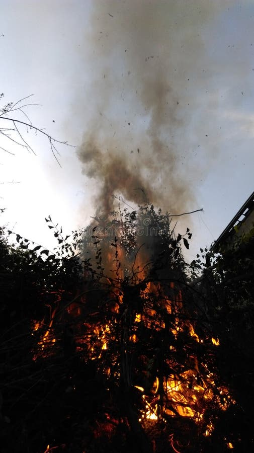 Camp fire in dusk stock photo. Image of wildfire, danger - 98677466