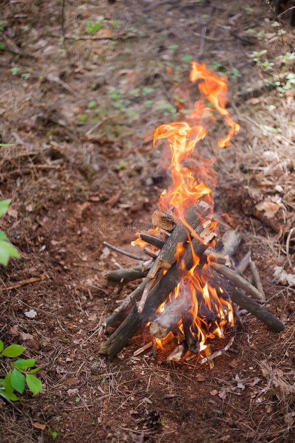 Bright Fire Bonfire in the Forest. Stock Photo - Image of campfire ...